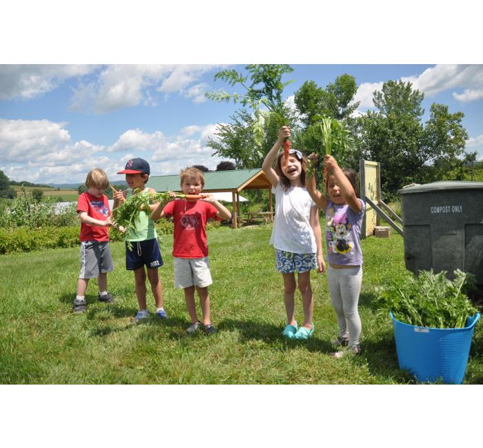 McEnroe Organic Farm | Hudson Valley Bounty