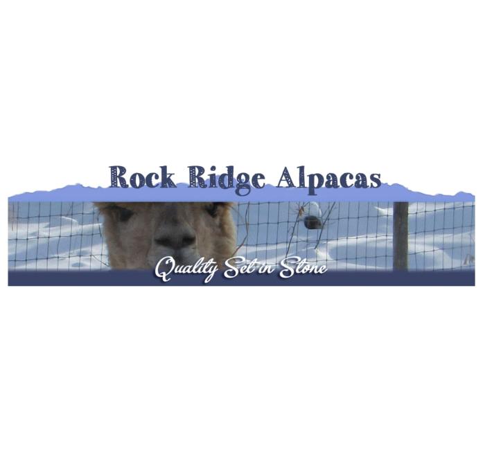 Rock Ridge Alpacas | Hudson Valley Bounty