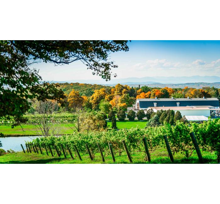 Millbrook Vineyards & Winery | Hudson Valley Bounty
