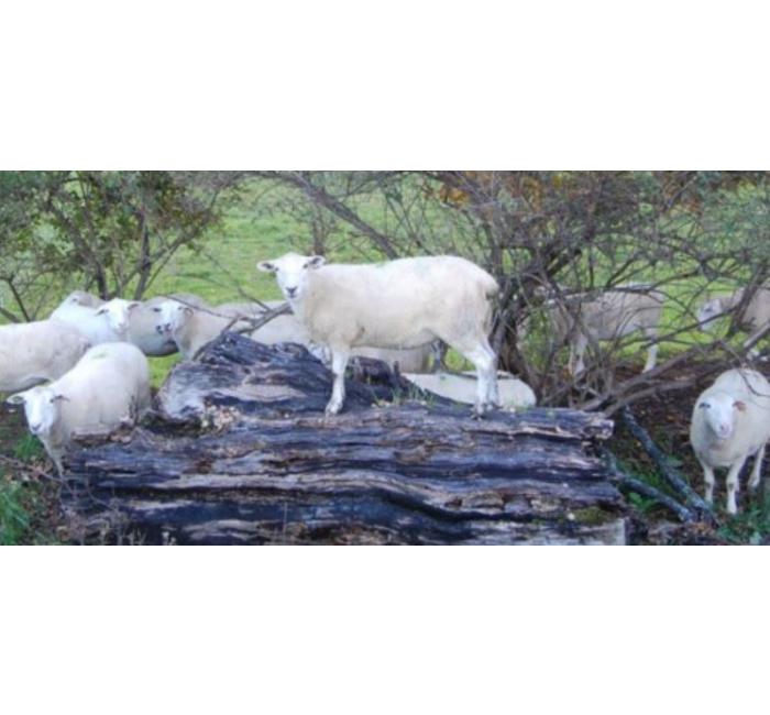 Kinderhook Farm | Hudson Valley Bounty