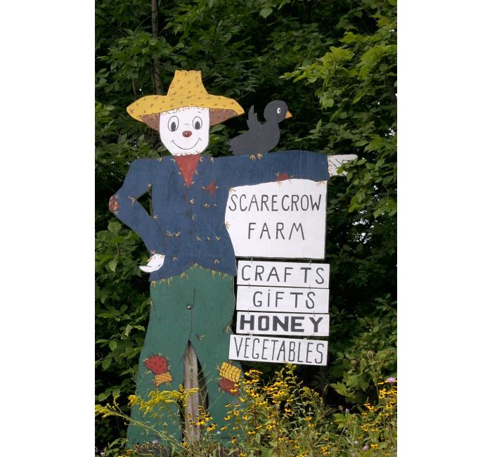 Scarecrow Farm | Hudson Valley Bounty