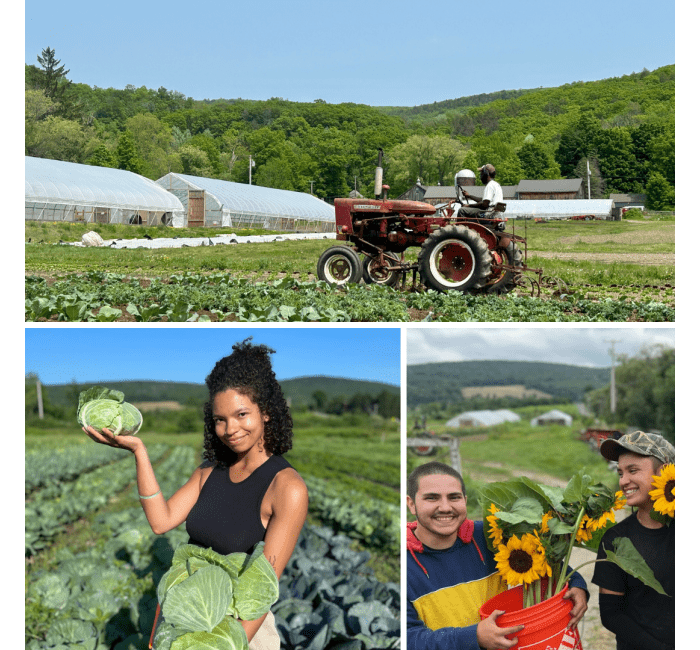Rock Steady Farm | Hudson Valley Bounty
