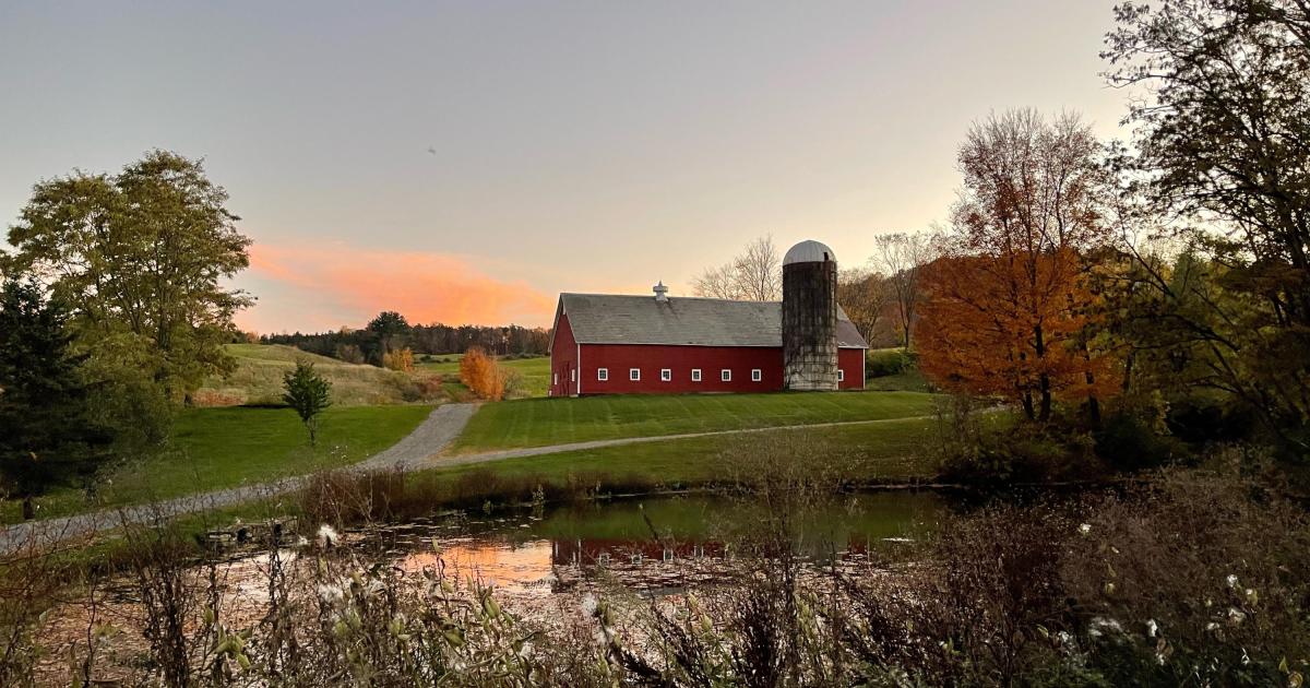 Scotch Hill Farm | Hudson Valley Bounty