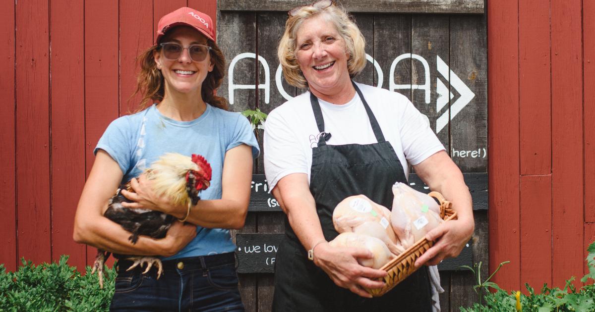 All One One All (AOOA) Farm | Hudson Valley Bounty