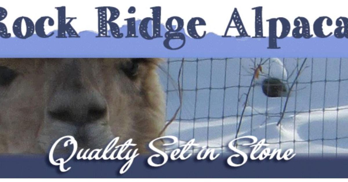 Rock Ridge Alpacas | Hudson Valley Bounty